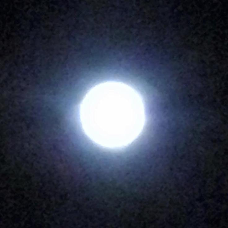 Lent: luminous darkness, hidden seeds – Bethany Hang Out